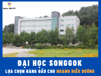 Trường Đại học Songgok: Điều kiện, học phí, học bổng,